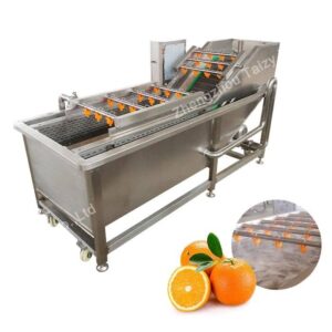 Orange citrus washing machine | fruit cleaning machine