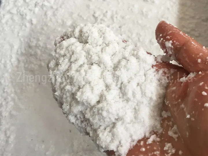 How to Make Coconut Powder with a Coconut Grating Machine? - Taizy ...