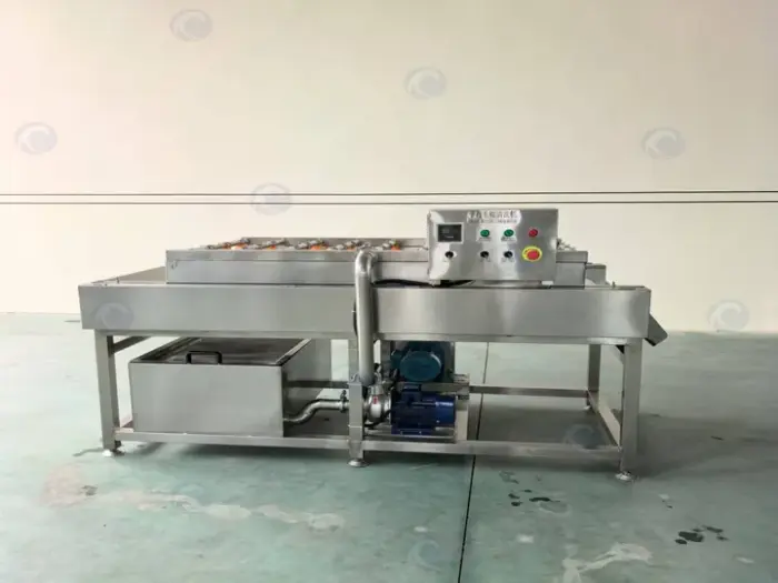 Potato Washing and Peeling Machine Shipped to Mauritius - Taizy Machinery